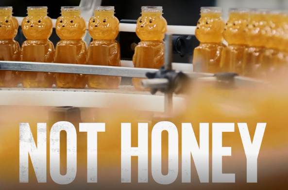 Netflix – Rotten – Not Honey – EDBA
